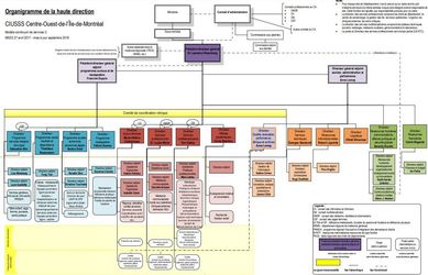 CIUSSS West-Central Montreal | Leadership